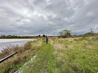 Briar Creek Lake, Columbia, Pennsylvania, United States - eBird Hotspot
