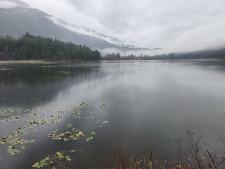 Cheam Lake Wetlands Regional Park, Fraser Valley, British Columbia ...