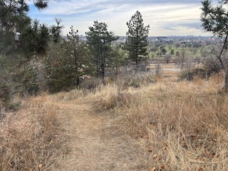 Ruby Hill Park, Denver, Colorado, United States - eBird Hotspot