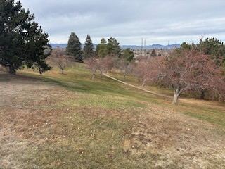Ruby Hill Park, Denver, Colorado, United States - eBird Hotspot