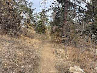 Ruby Hill Park, Denver, Colorado, United States - eBird Hotspot
