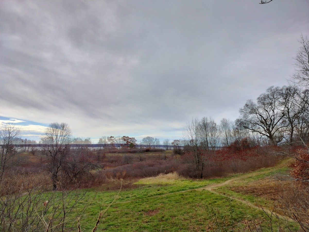 Adams Point WMA, Durham - Strafford, New Hampshire, US - Birding Hotspots