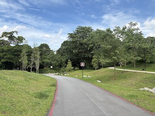 Bidadari Park (inc. former Bidadari Cemetery), Singapore, Singapore ...