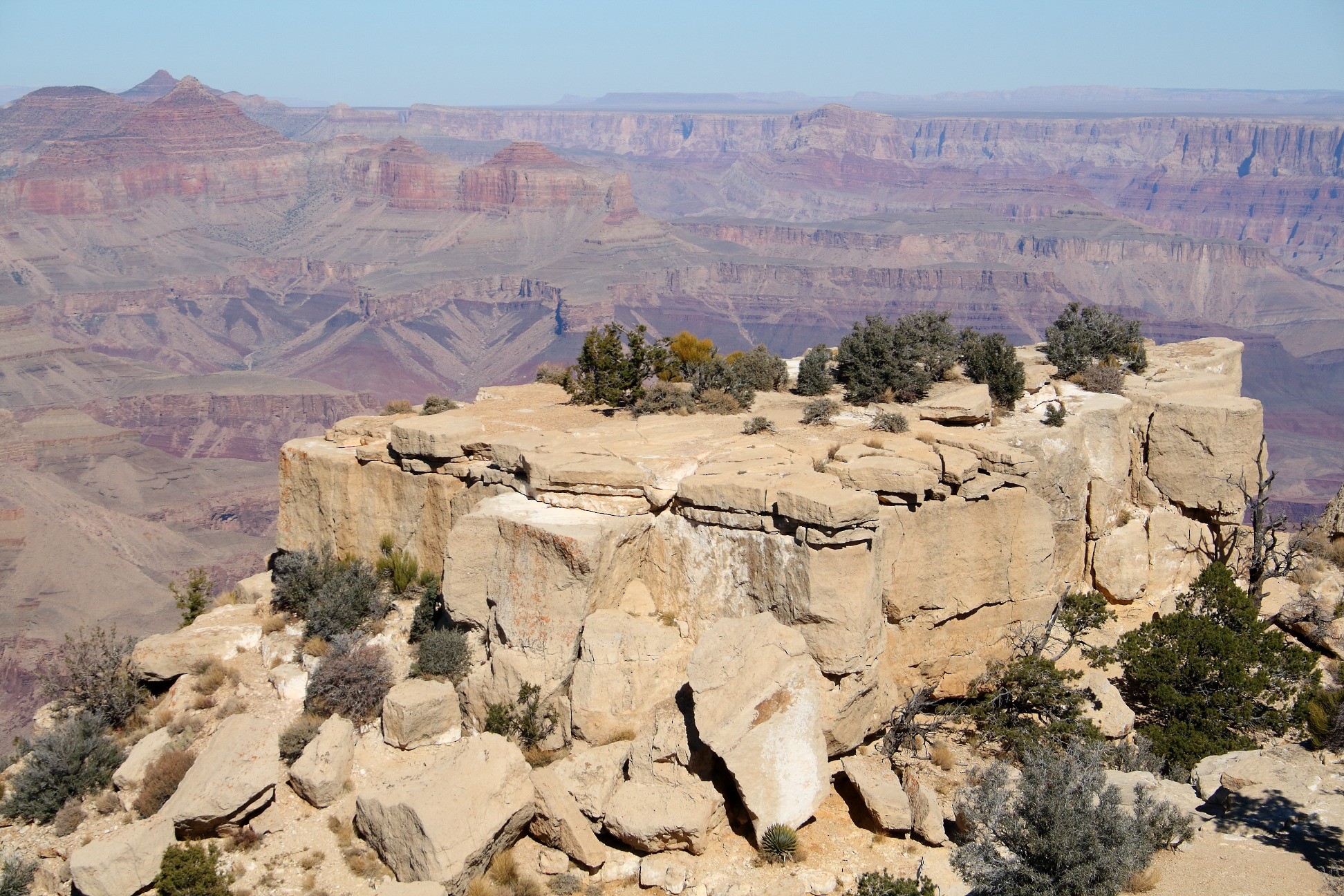 Grand Canyon NP--Moran Point - Coconino, Arizona, US - Birding Hotspots