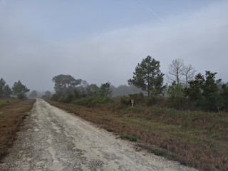 Hilochee WMA, Lake, Florida, United States - eBird Hotspot