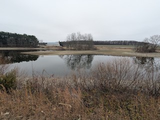 Long Arm Reservoir--Dam Area/Old Westminster Rd. Cove (York Co.), York ...