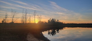 Marvyn pond, Lee, Alabama, United States - eBird Hotspot