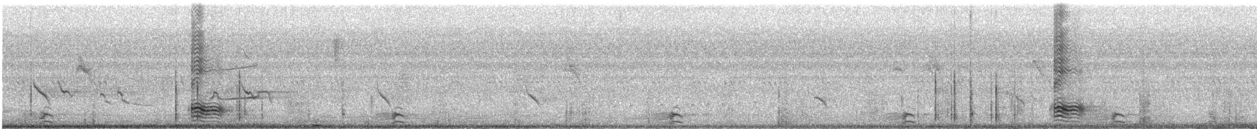 ML647105918 - Fish Crow - Macaulay Library