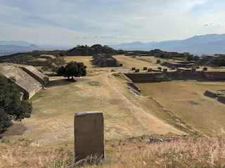 Zona Arqueológica Monte Albán, Centro, Oaxaca, Mexico - eBird Hotspot