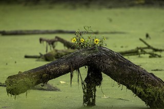 Lake St. Clair Metropark (Metro Beach Metropark), Macomb, Michigan ...