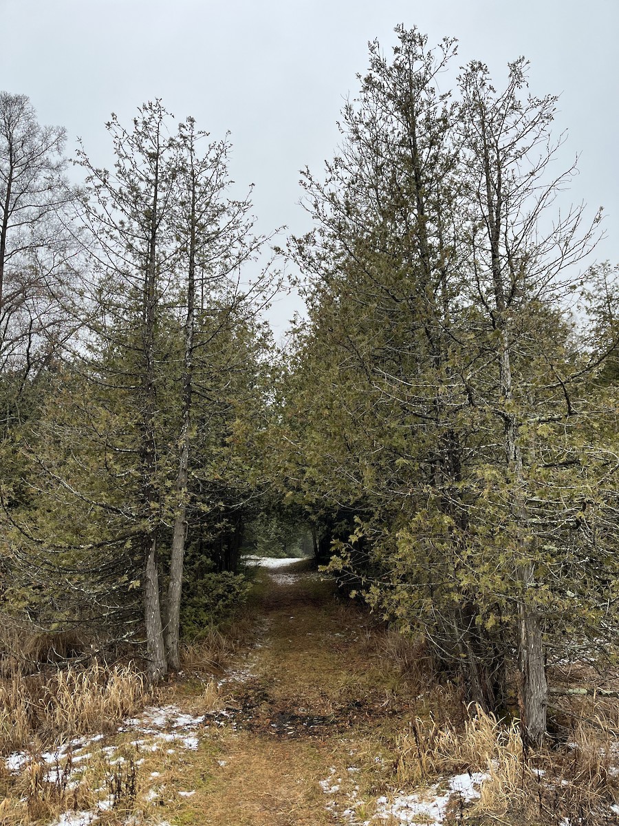 Judy Abert Meissner Memorial Wetlands Preserve (TNC) - Door, Wisconsin ...
