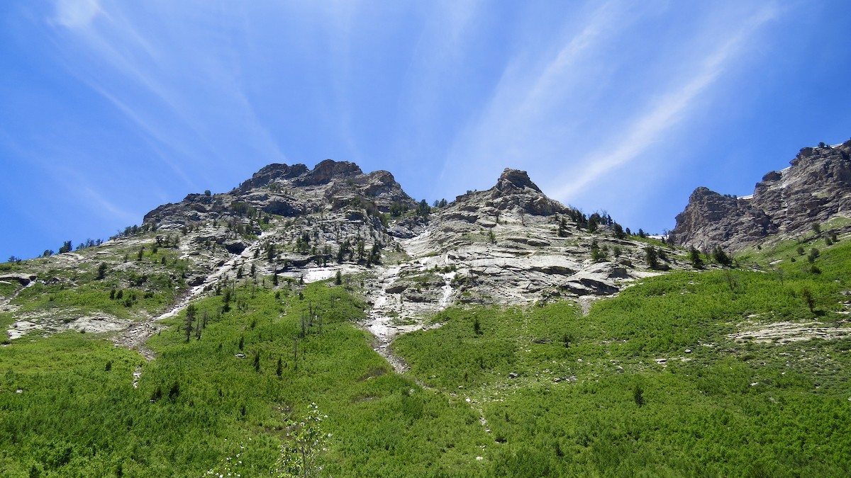 Lamoille Canyon--Glacier Overlook - Elko, Nevada, US - Birding Hotspots