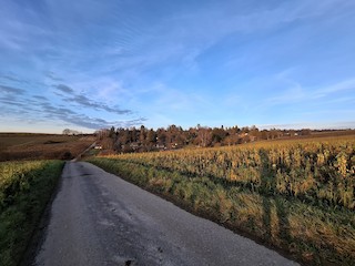 Seeberg, Diedelsheim, Karlsruhe, Baden-Württemberg, Germany - eBird Hotspot