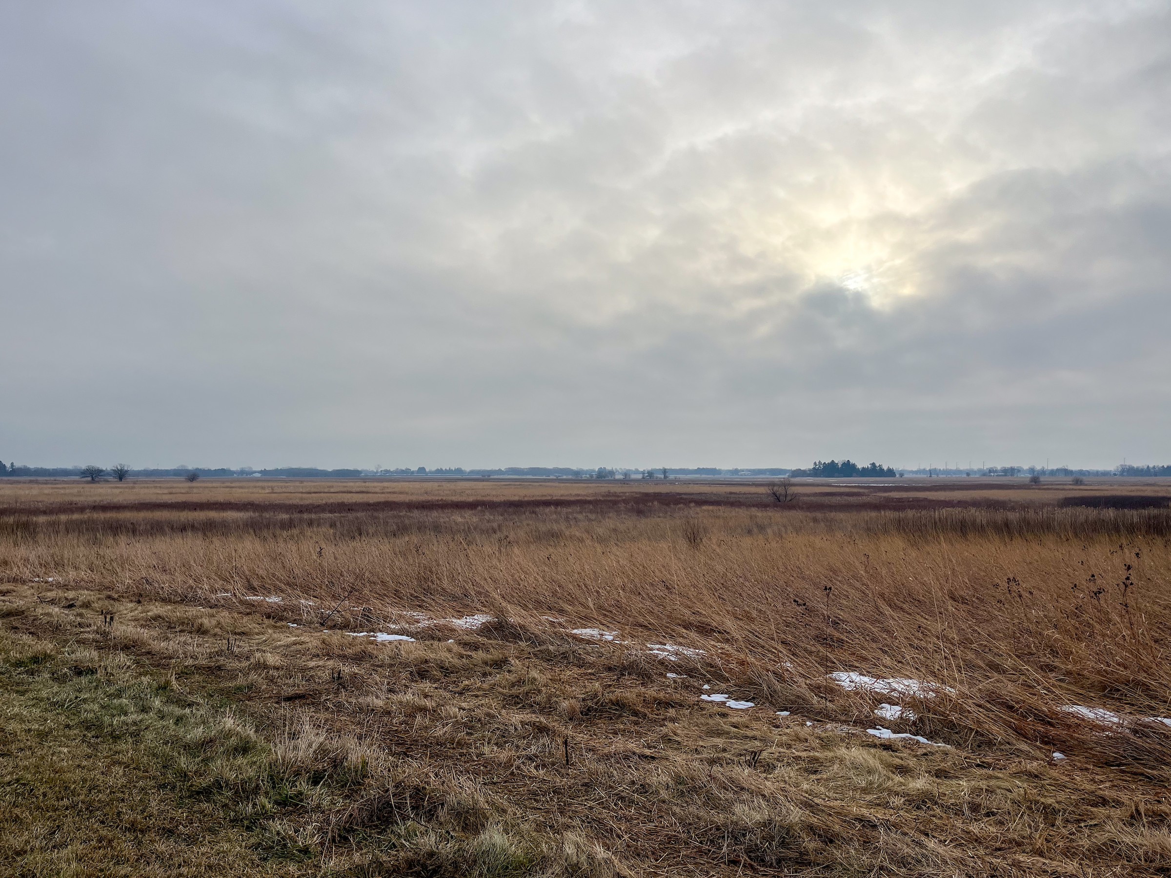Muirhead Springs Forest Preserve - Kane, Illinois, US - Birding Hotspots
