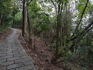 梅林山公园 (Meilinshan Park), Guangdong, China - eBird Hotspot