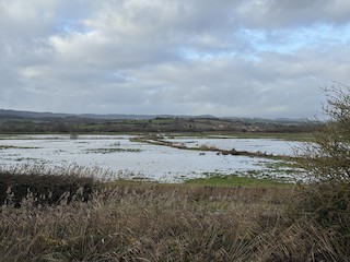Exminster and Powderham Marshes RSPB Reserve--Exminster Marsh, Devon ...