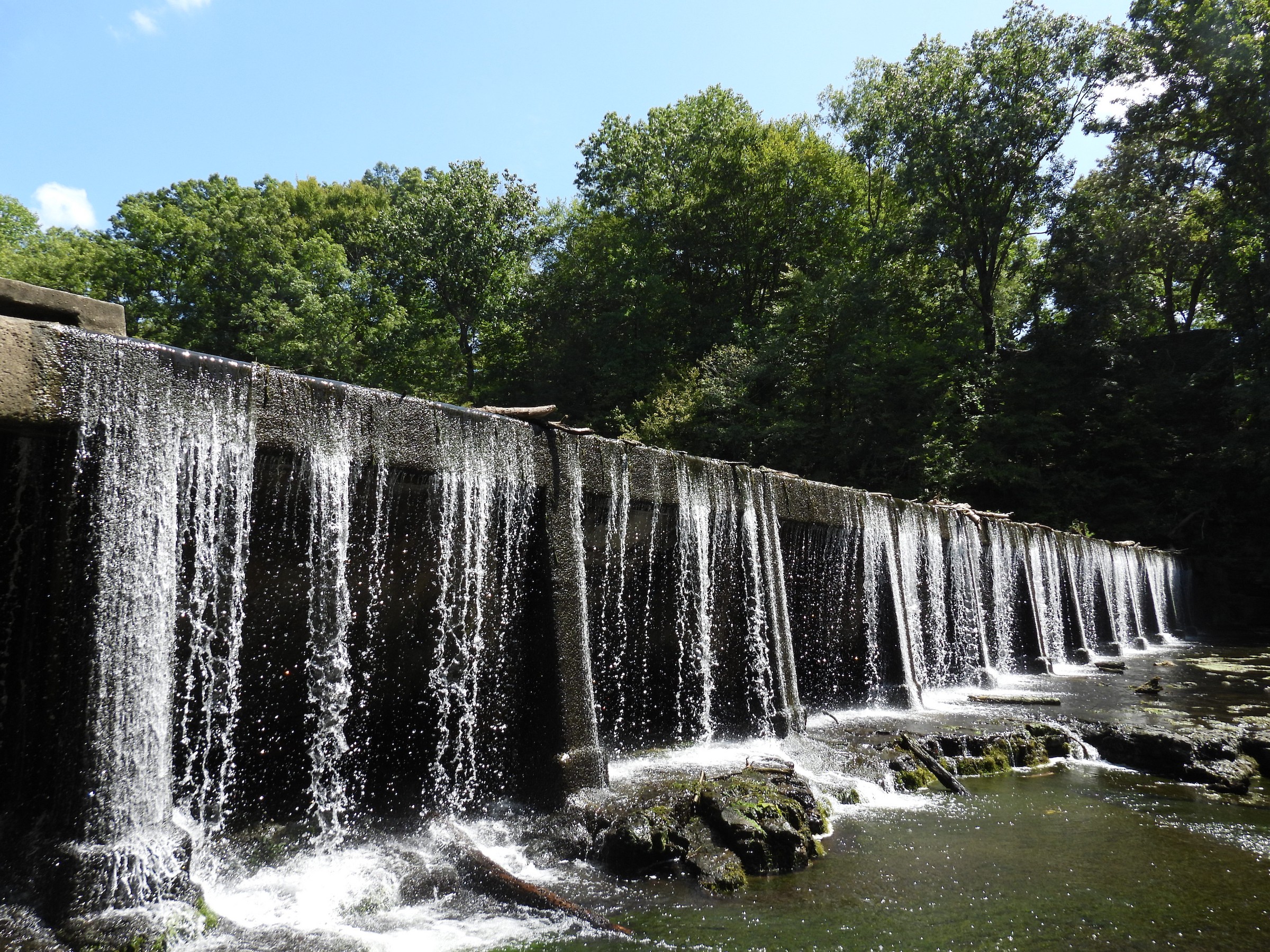 Old Stone Fort SP - Coffee, Tennessee, US - Birding Hotspots