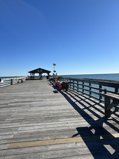 Myrtle Beach SP, Horry, South Carolina, United States - eBird Hotspot