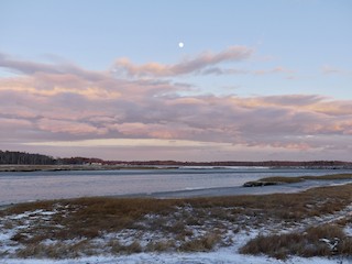 Scarborough Marsh--Seavey's Landing, Cumberland, Maine, United States ...