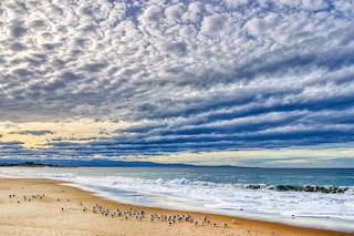 Moss Landing--Jetty Road, north jetty & State Beach, Monterey ...