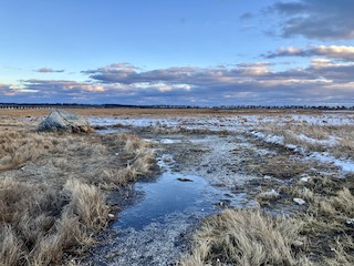 Scarborough Marsh--Seavey's Landing, Cumberland, Maine, United States ...