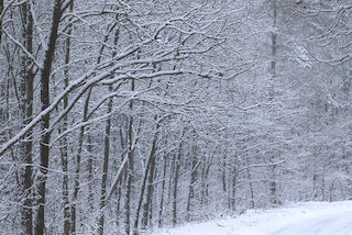 Kemperheide, Gelderland, Netherlands - eBird Hotspot