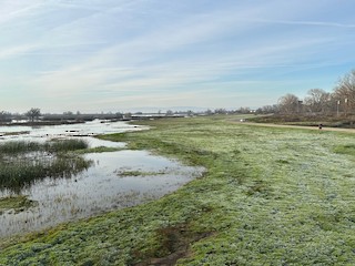 Merced NWR--Entrance, parking and observation deck, Merced, California ...