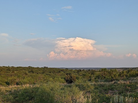 Sandy Sanders Wildlife Management Area - Birding Hotspots