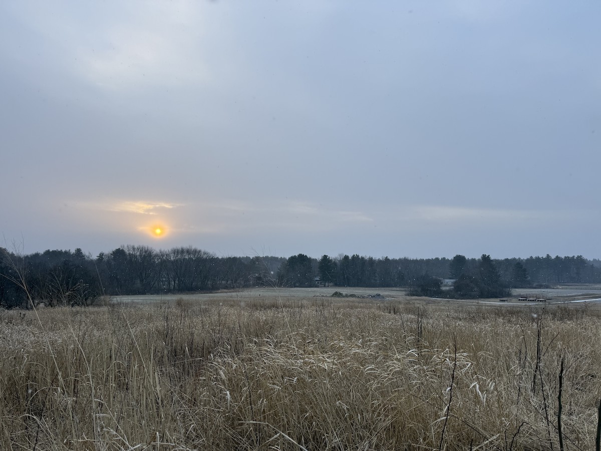 Drumlin Farm Wildlife Sanctuary (Mass Audubon) - Middlesex ...
