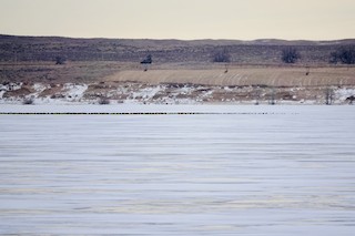 Prewitt Reservoir SWA (Washington Co.), Washington, Colorado, United ...
