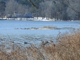 Beaverfork Lake, Faulkner, Arkansas, United States - eBird Hotspot
