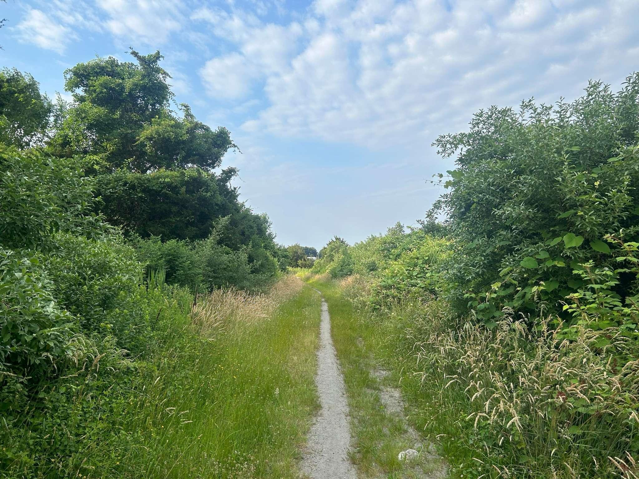 Calf Pasture Point Recreation Area--Bikepath - Washington, Rhode Island ...