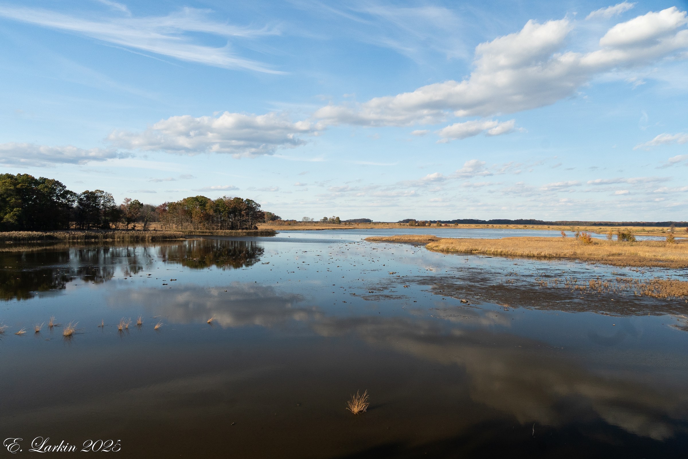 Bombay Hook National Wildlife Refuge - Kent, Delaware, US - Birding ...