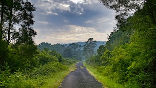 Ourimbah Rest Stop, Wyong, New South Wales, Australia - eBird Hotspot