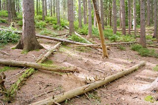 Webster Park--Campground area, Monroe, New York, United States - eBird ...