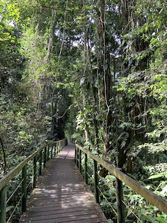 PN Cahuita, Limón, Costa Rica - eBird Hotspot
