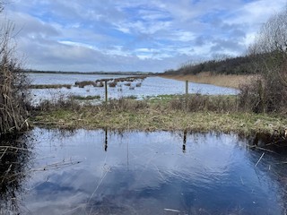 Otmoor RSPB Reserve, Oxfordshire, England, United Kingdom - eBird Hotspot