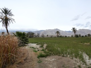 Borrego Springs--Resort and Country Club, San Diego, California, United ...