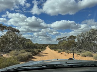 Murray-Sunset National Park--Millewa South Bore Track at Pheenys Track ...