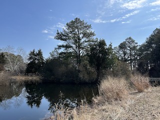 Chesapeake Bay Environmental Center (Horsehead), Queen Anne's, Maryland ...