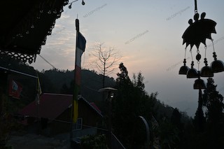 Mahananda WLS--Latpanchar, Darjeeling, West Bengal, India - eBird Hotspot
