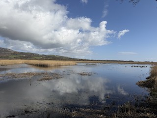 Mersehead RSPB Reserve, Dumfries and Galloway, Scotland, United Kingdom ...