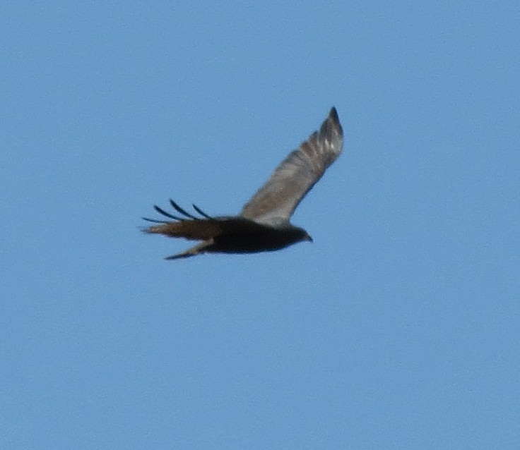 eBird Checklist - 24 Mar 2026 - Wichita Mtns Wildlife Refuge--Sunset ...