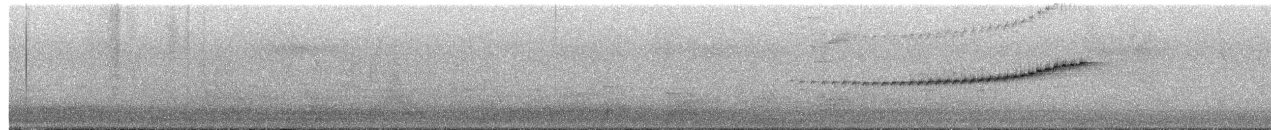 ML658522146 - Prairie Warbler - Macaulay Library