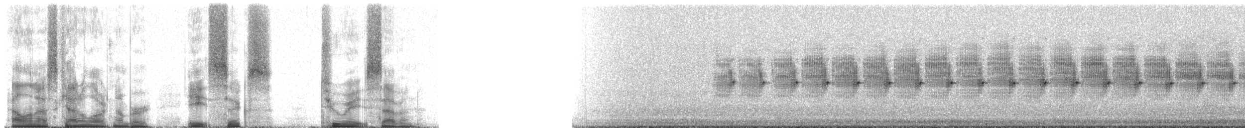 ML86287 - Delicate Prinia - Macaulay Library